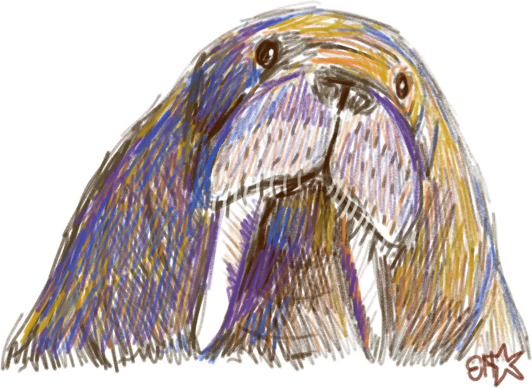 Cute Walrus Digital Download - Etsy
