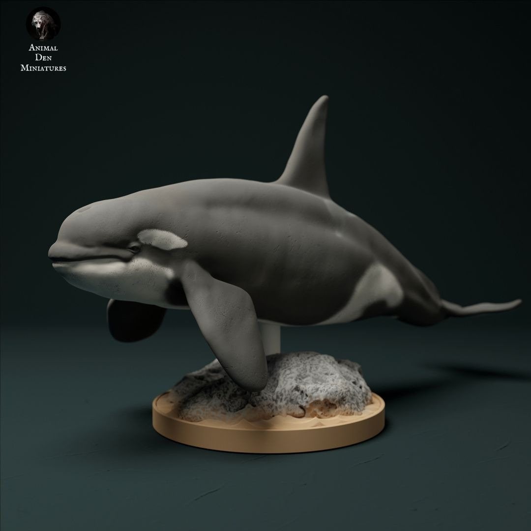 North Atlantic Type 2 Killer Whale - 3d Printed 1:100 Scale Miniature ...