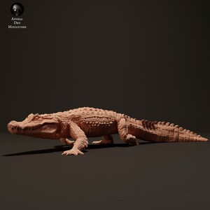 Black Caiman - 3d Printed 1:24 Scale Model Sculpted by Animal Den - Etsy