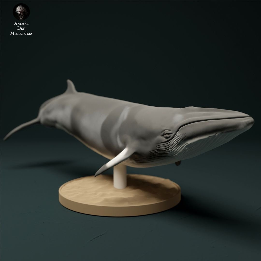 Minke Whale - 3d Printed 1:100 Scale Miniature by Animal Den - Etsy