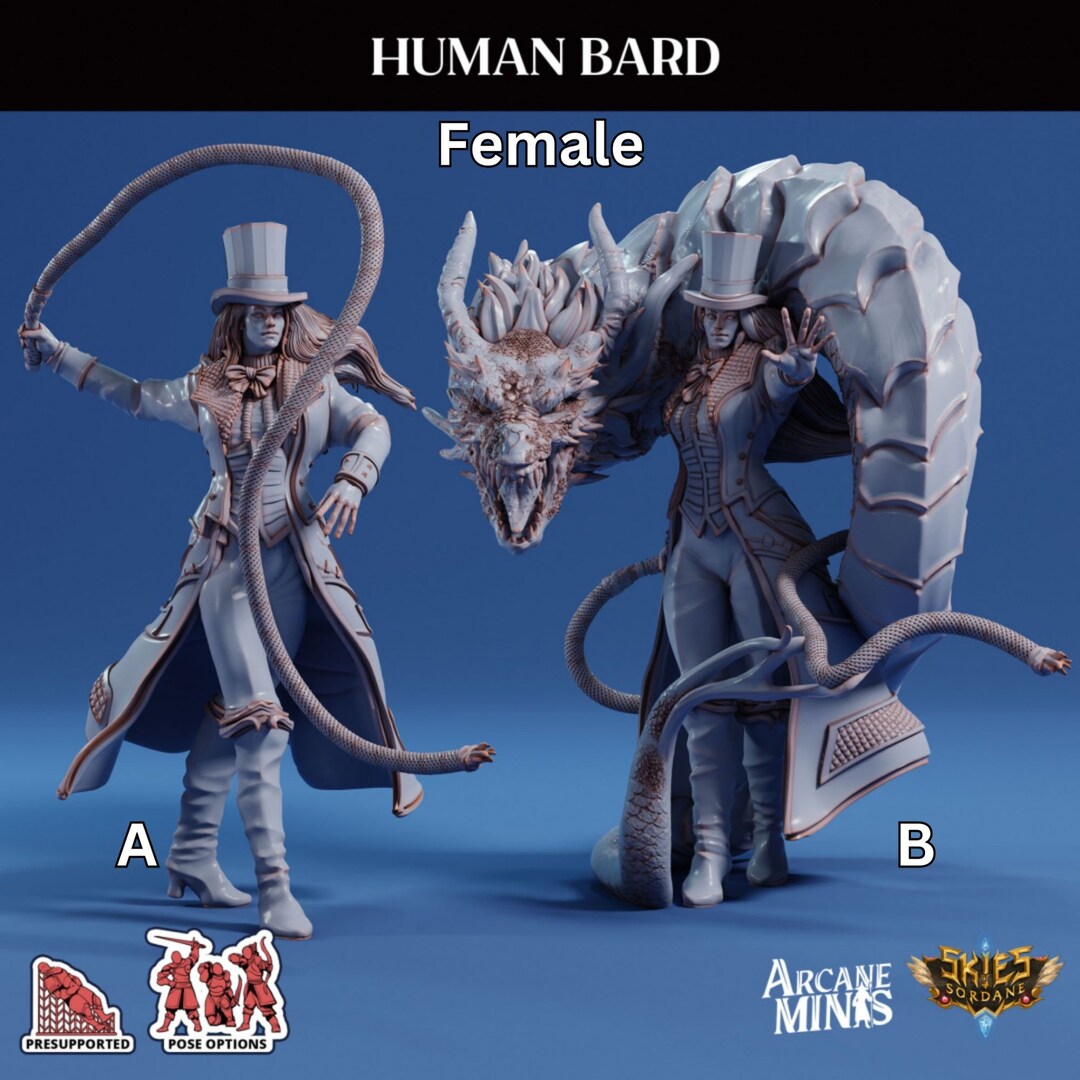 Human Bard - 3d Printed Miniature by Arcane Minis - Etsy