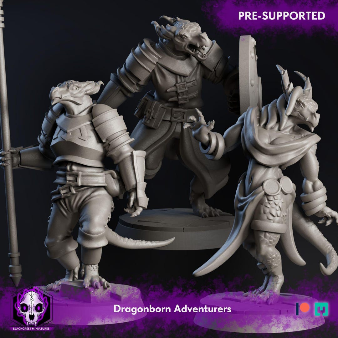 Dragonborn Adventurers - Caelitum Adventurers - 3d Printed Miniature by Blackcrest Miniatures - Etsy