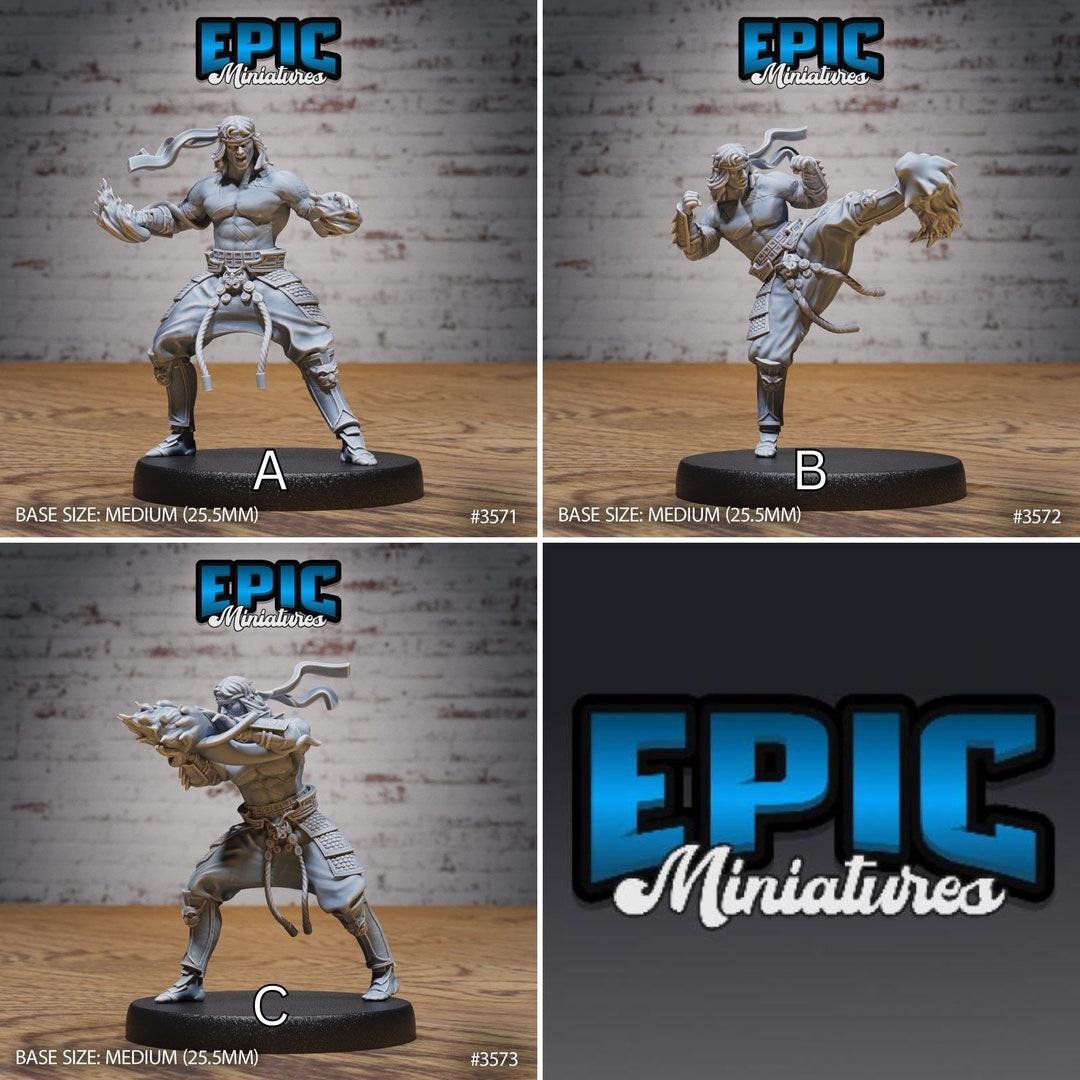 Fire Style Kung Fu Master 3d Printed by Epic Miniatures - Etsy