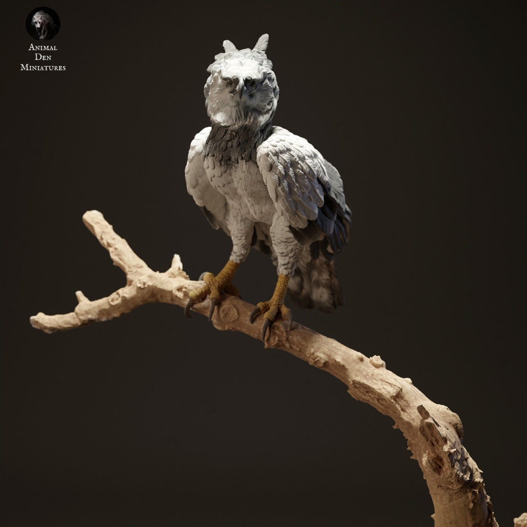 Harpy Eagle - 1:24 Scale 3d Printed Scale Model Sculpted by Animal Den ...