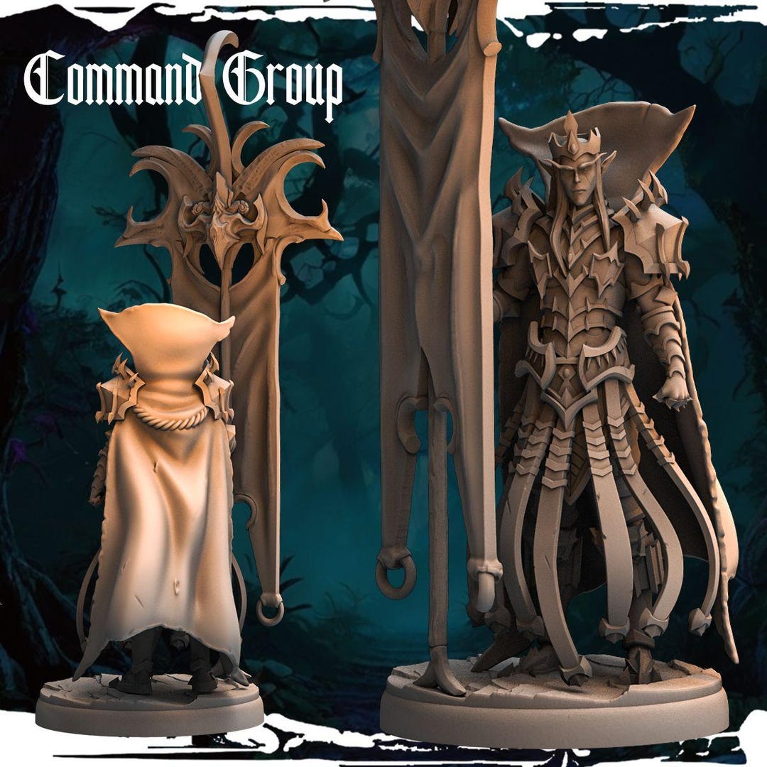 Dark Elf Banner Carrier Army of Darkness: Dark Elves 3d Printed ...