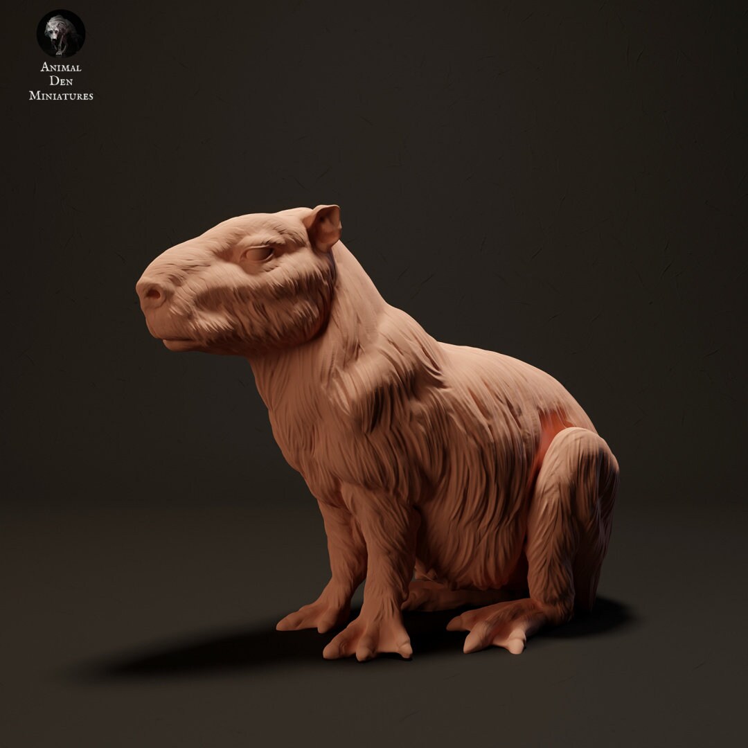 Capybara 3d Printed Scale Model Sculpted by Animal Den - Etsy