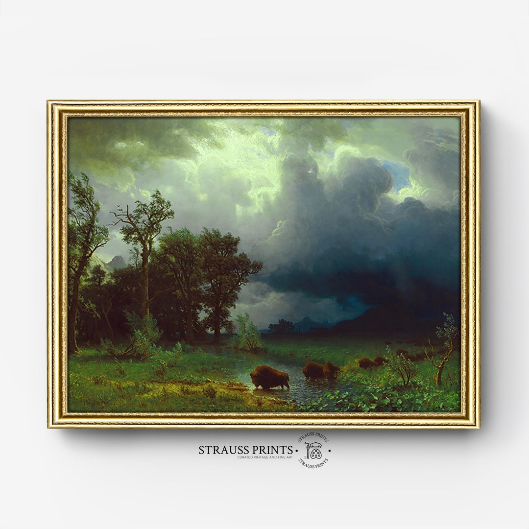 Storm Clouds Gather Over Valley Where Buffalo Cross Stream | Storm I ...