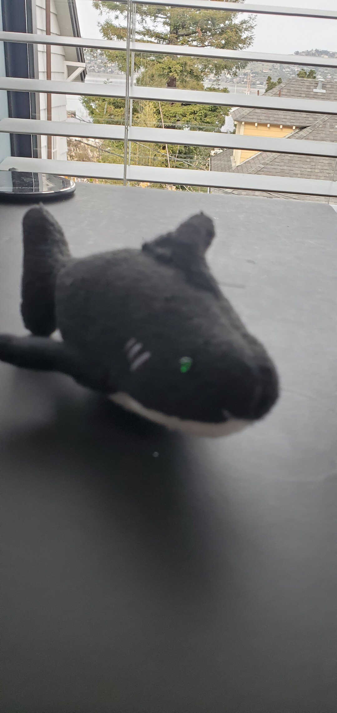 Black Shark Stuffie - Etsy