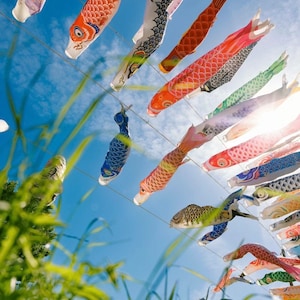 Japanese Koinobori Silk Koi Wind Streamer: Balcony Garden Ornament - Etsy