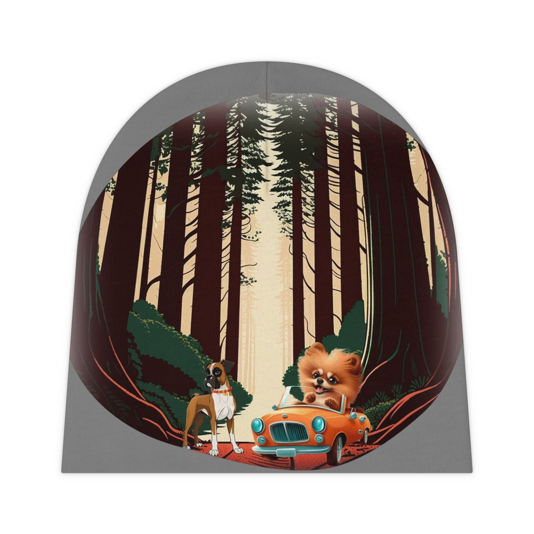 Barlow the Boxer and Poppy Pomeranian Explore the Redwood Forest Baby ...