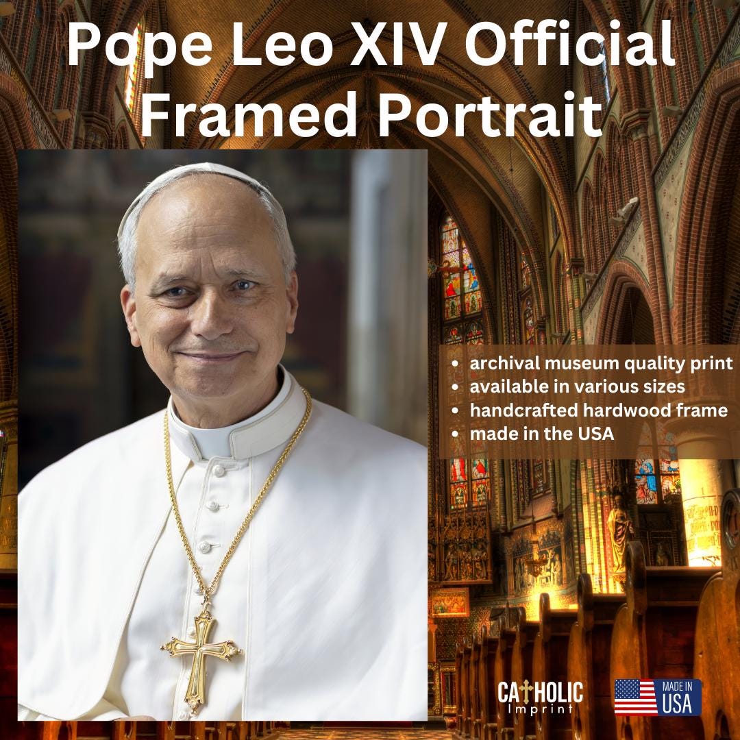 Pope Leo XIV Portrait Print | Museum Quality Print for Home, Church ...