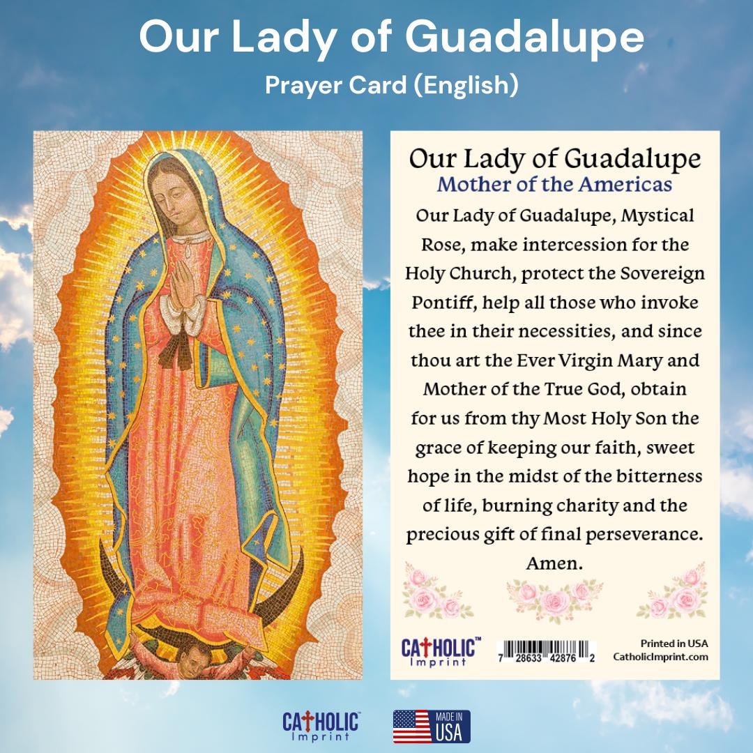 Our Lady of Guadalupe Prayer Card Set, English & Spanish, 25 Pack - Etsy