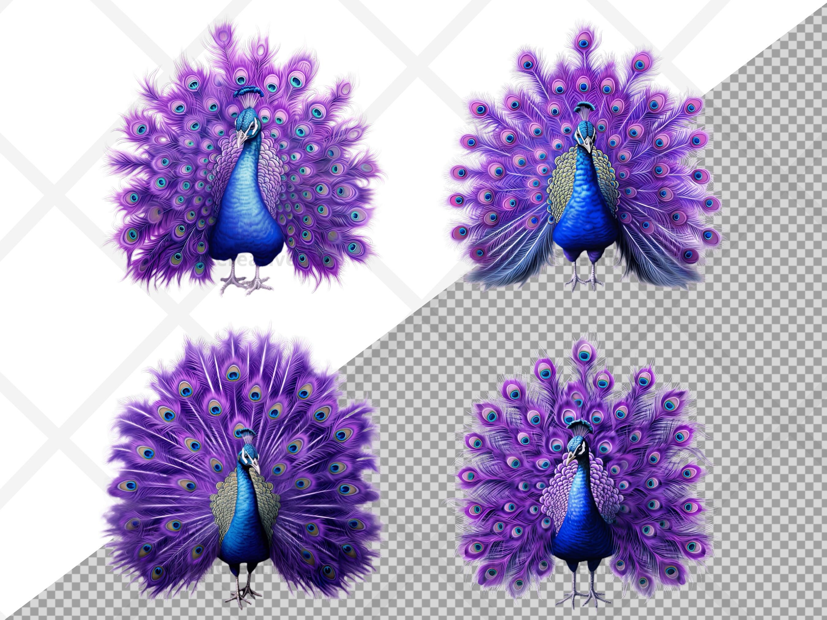 Purple Peacock Clip Art