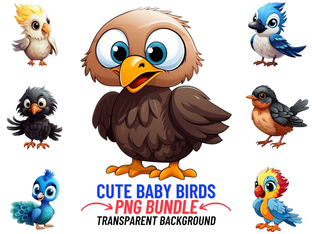 Cute Baby Birds Clipart 12 High Quality PNG Children's - Etsy
