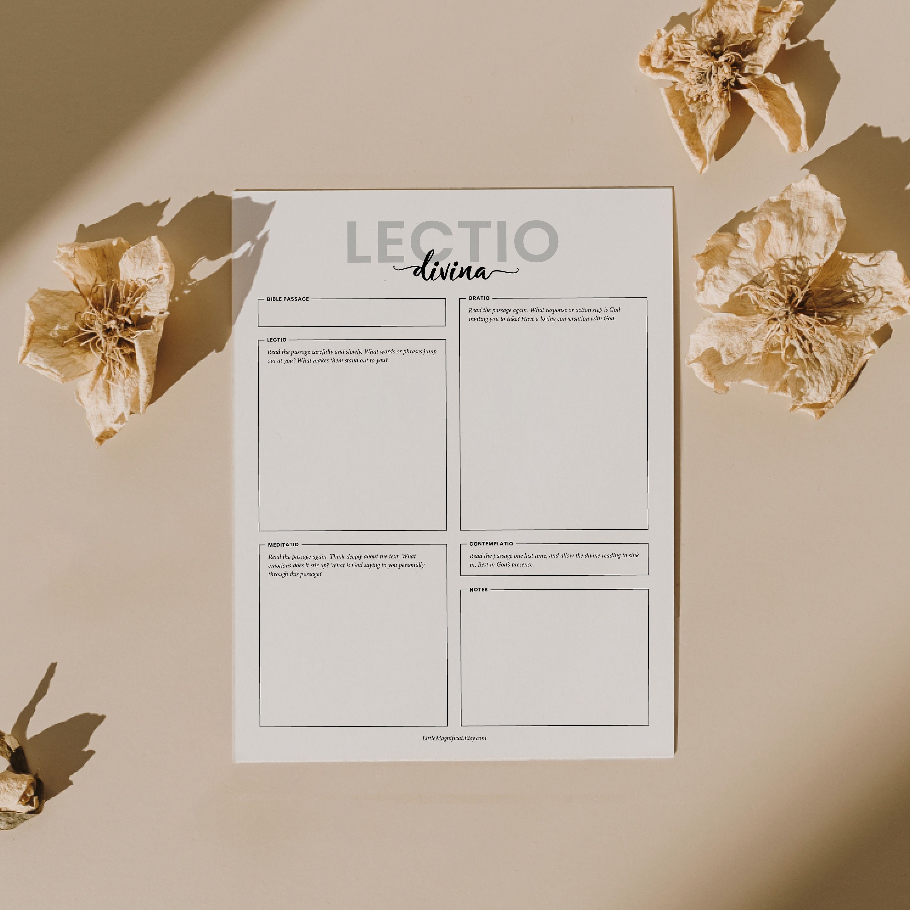 Lectio Divina Printable Catholic Bible Study Guide for Lectio Divina ...