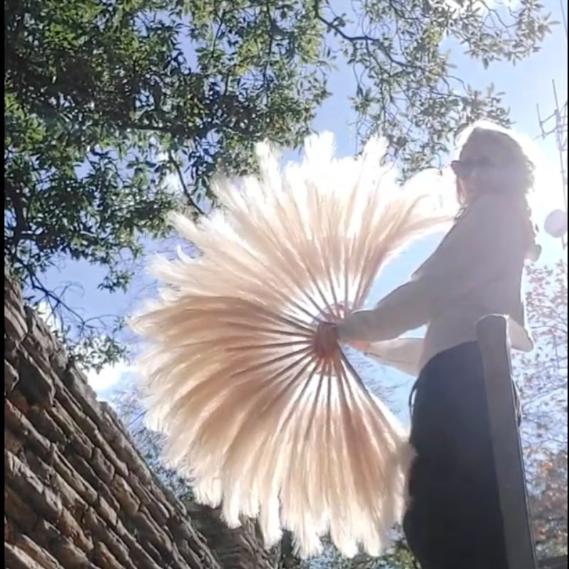 Burlesque Fan - Etsy