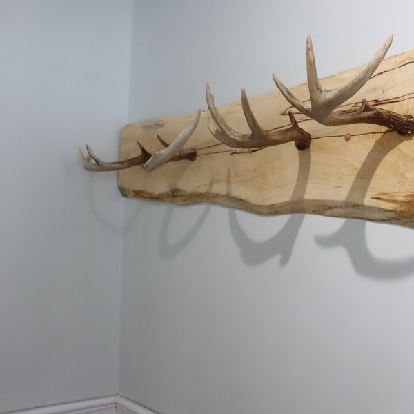 Antler Coat Rack - Etsy