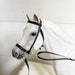 Breyer Horse Lunging Set Horse NOT Included. - Etsy