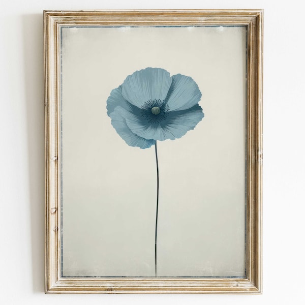 Himalayan Blue Poppy - Etsy