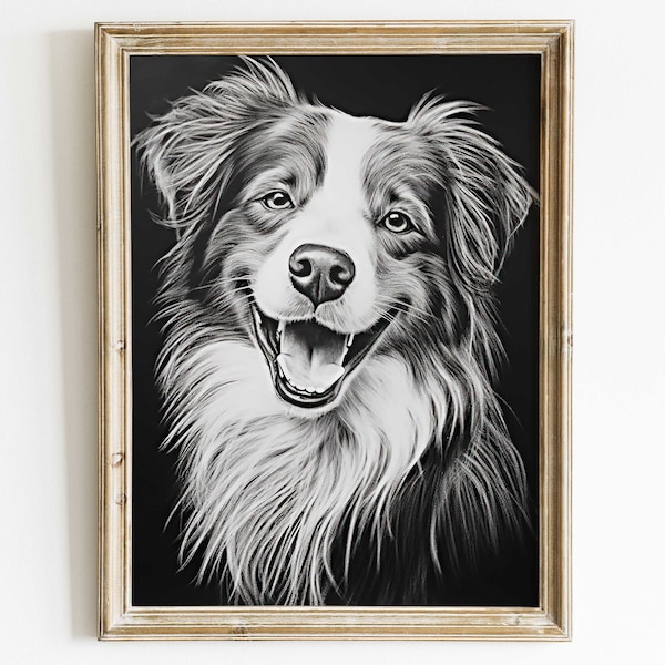 Australian Shepherd Art Drawing - Etsy