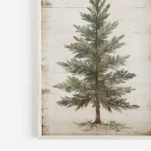 Spruce Tree Art, Christmas Tree Print, Vintage Christmas Wall Art ...