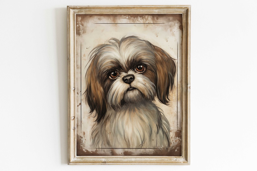 Shih Tzu Art Print, Vintage Shih Tzu Dog Decor, Gift for Dog Lovers and ...