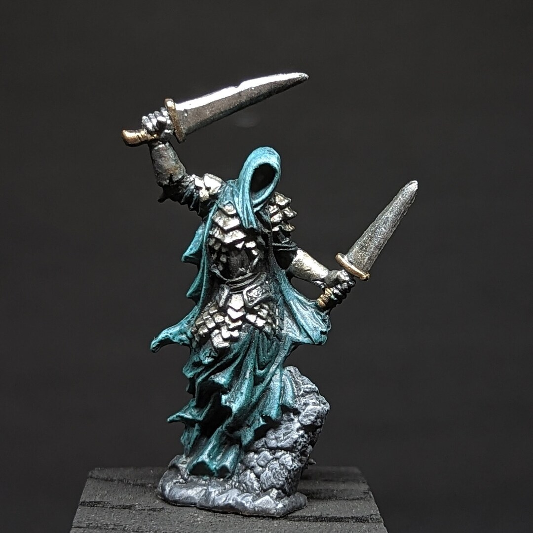 Painted Wraith Slayer A Enemy Miniature Dungeons and Dragons - Etsy