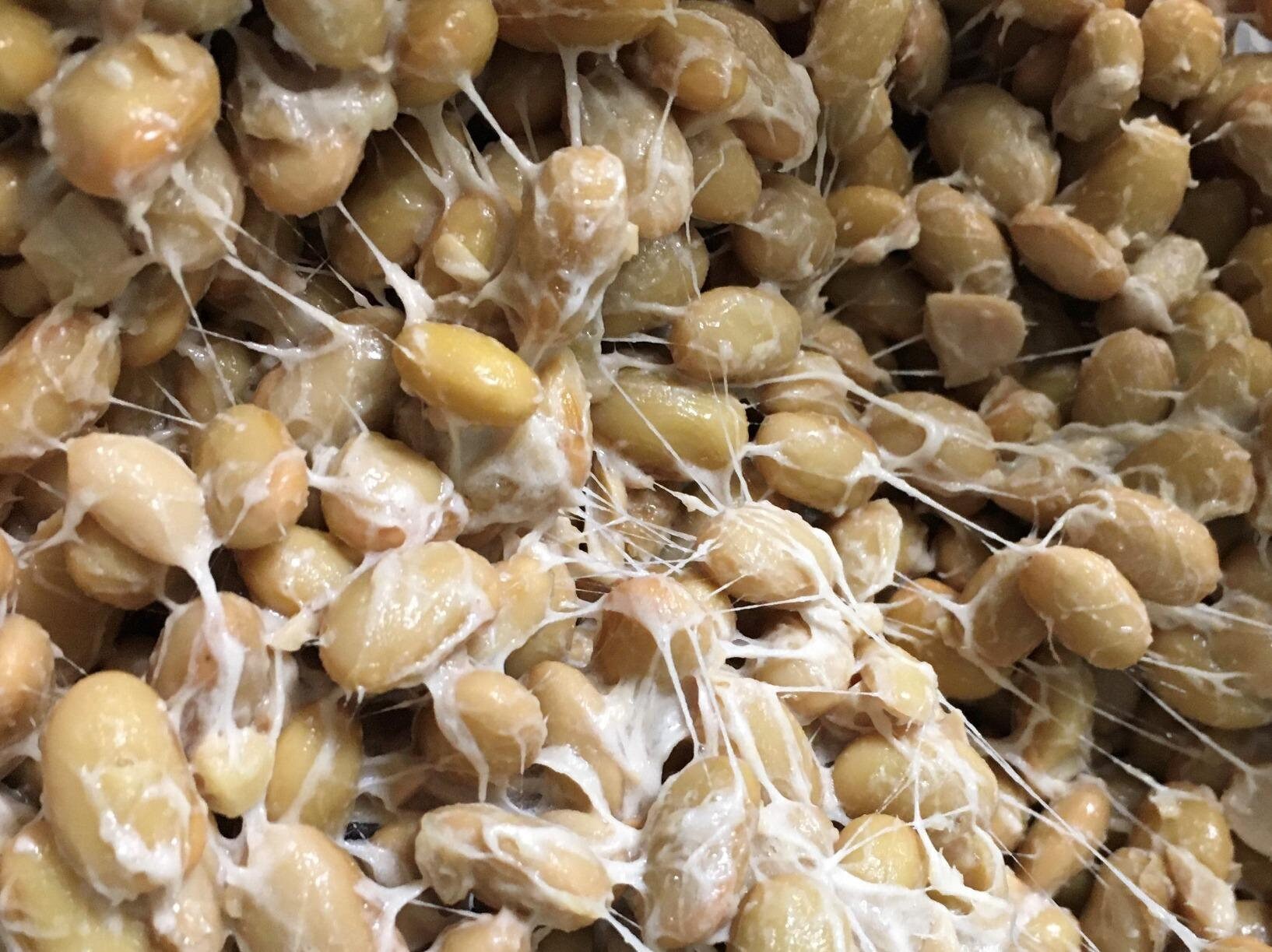 Set of 2 Japanese Natto Starter Spores 0.1 Ounce enough to Make 66 Lbs ...