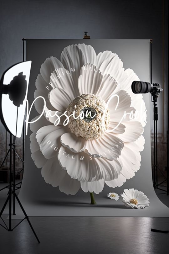 Neutral Back Drops Digital Download Photo Texture Overlay White and ...