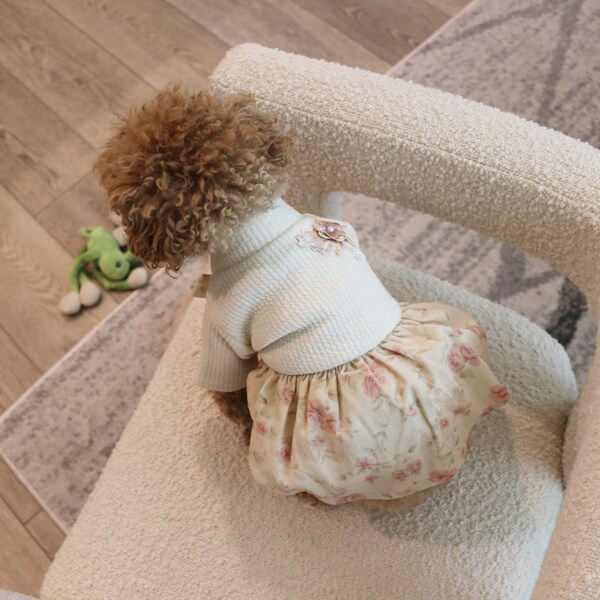 Korean Dog Costume - Etsy