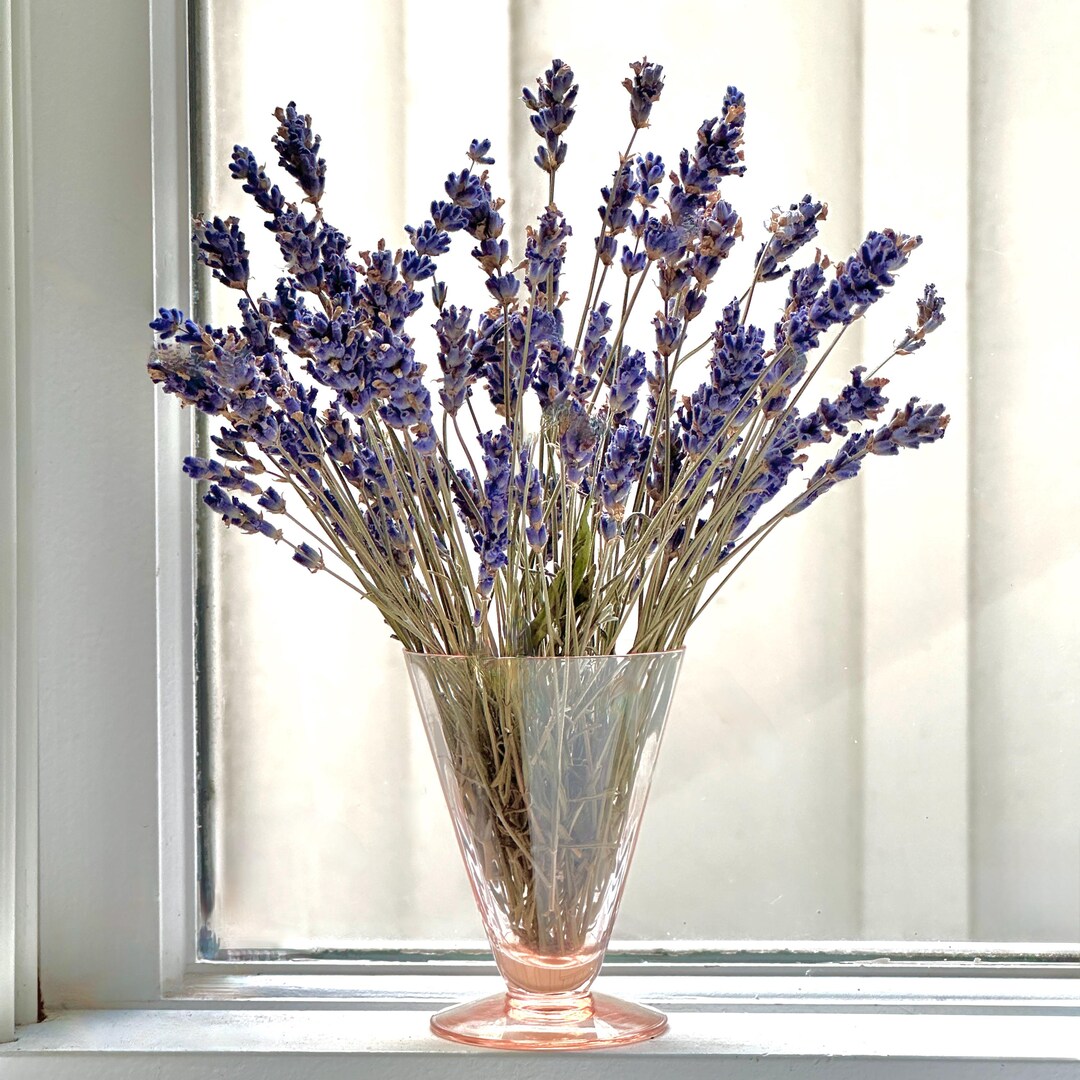 Dried Lavender, Antique Pink Vintage Depression Glass Vase With Mini ...