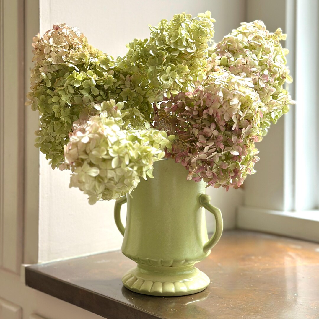 Dried Hydrangeas : Real , Antique Green With Pink Hydrangea , Bunch of ...