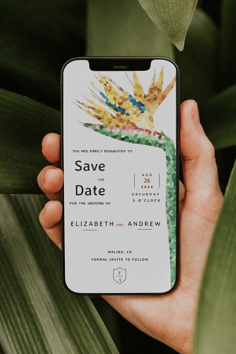 Editable Pixel Orioles Themed Save the Date SMS Invite, Instant ...
