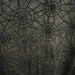 Spiderweb Design on Power Mesh Nylon Spandex With Flocking 4-way ...