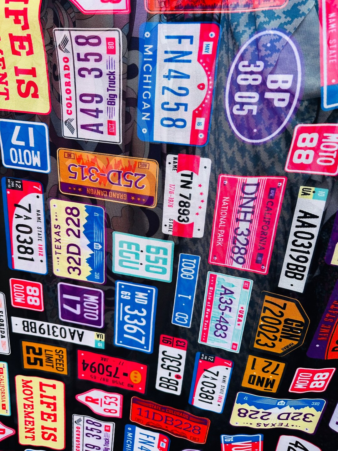 New License Plates Design Print on Great Quality of Nylon Power Mesh 4 ...