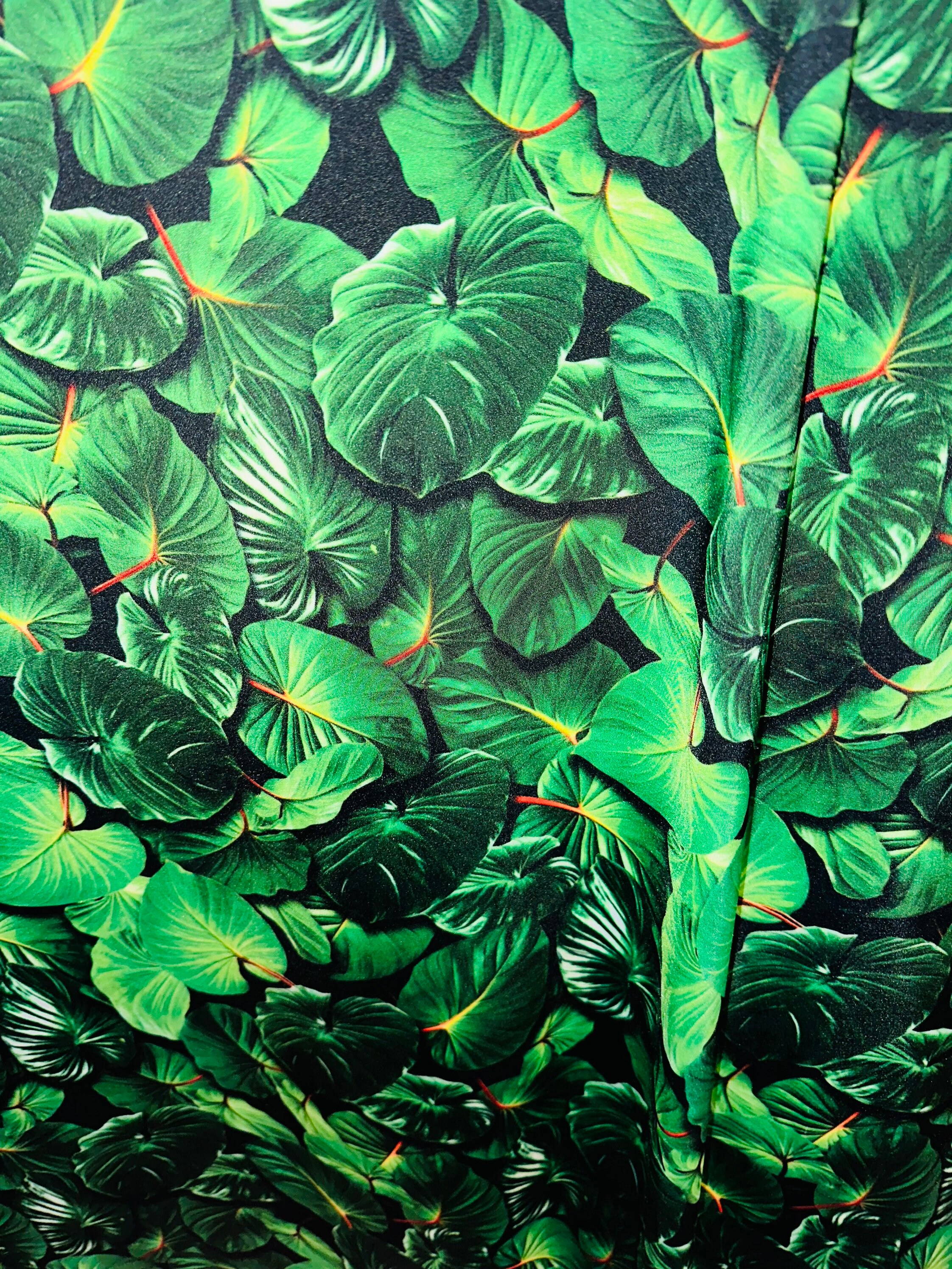 Luxury Tropical Leaves Design Green Color Print on Best Quality of ...
