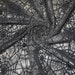 Spiderweb Design on Power Mesh Nylon Spandex With Flocking 4-way ...