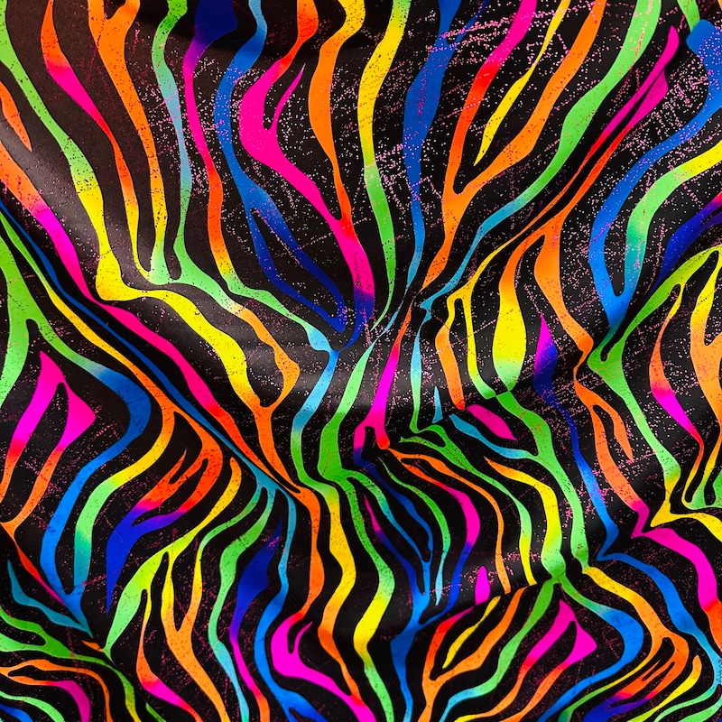 Rainbow Zebra Print - Etsy