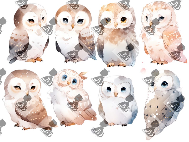 Adorable Owl Transparent Background Cute Owl Png Watercolor - Etsy