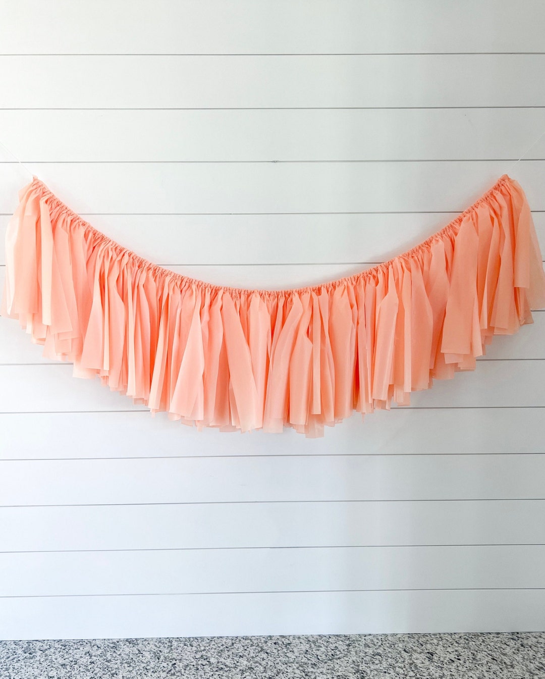 Party/birthday Party Backdrop Fringe/streamers - Etsy