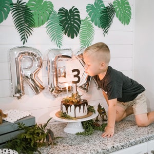 Custom Color Number Cake Topper, Birthday Party Decor - Etsy