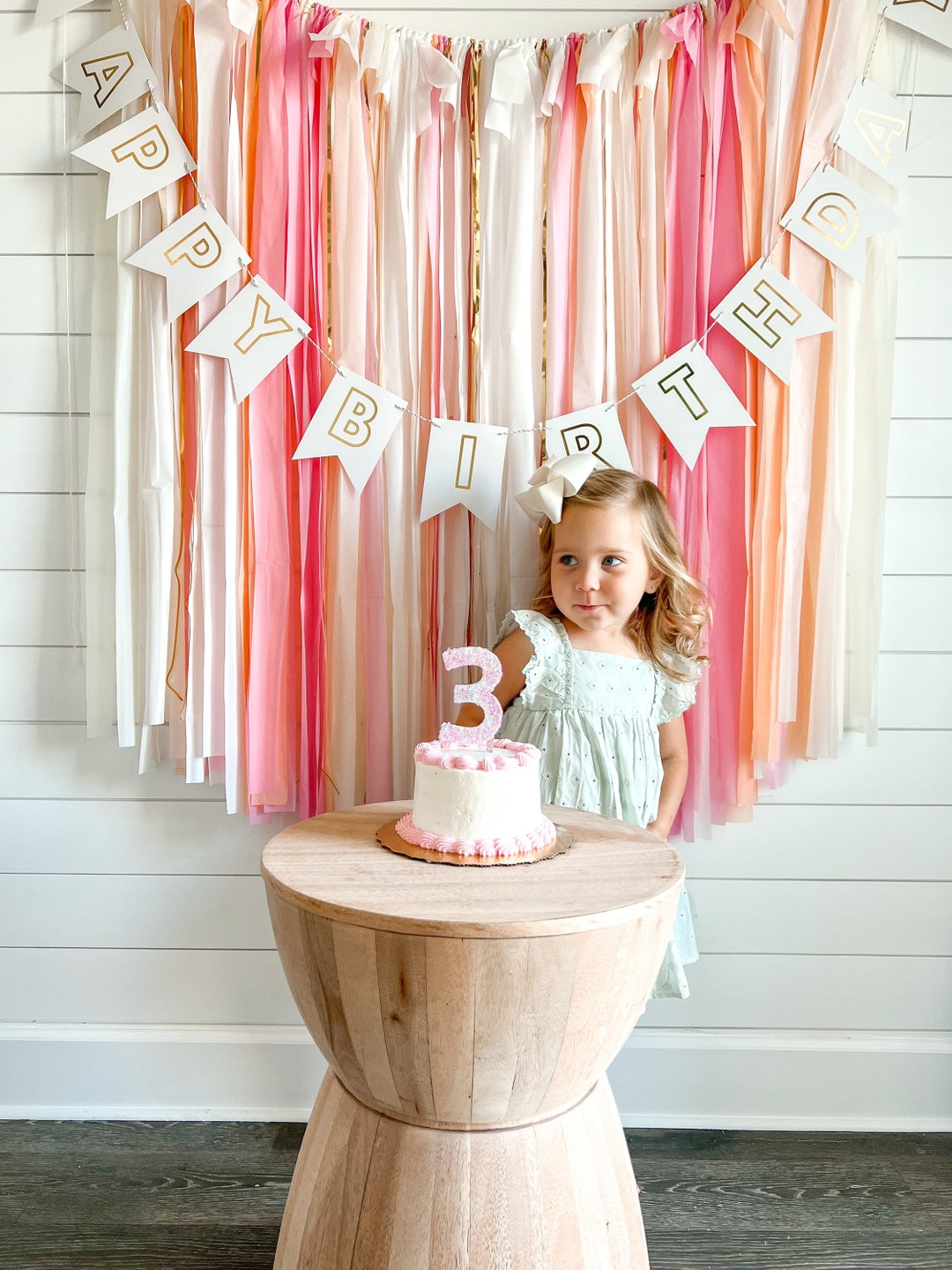 Birthday Party Backdrop Fringes/streamers/baby Shower/bachelorette ...