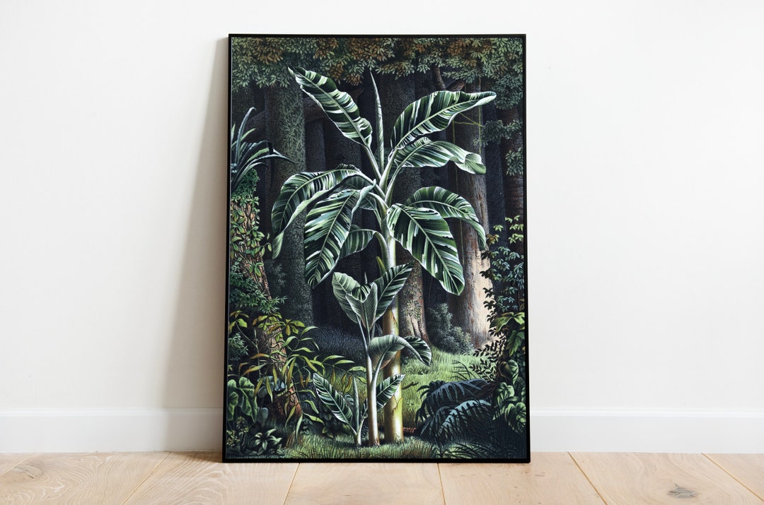 Vintage Banana Tree Illustrated Print - Etsy