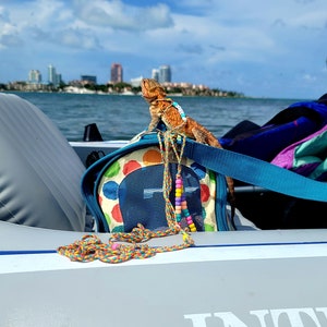 Bearded Dragons Harness/ Leash - Etsy