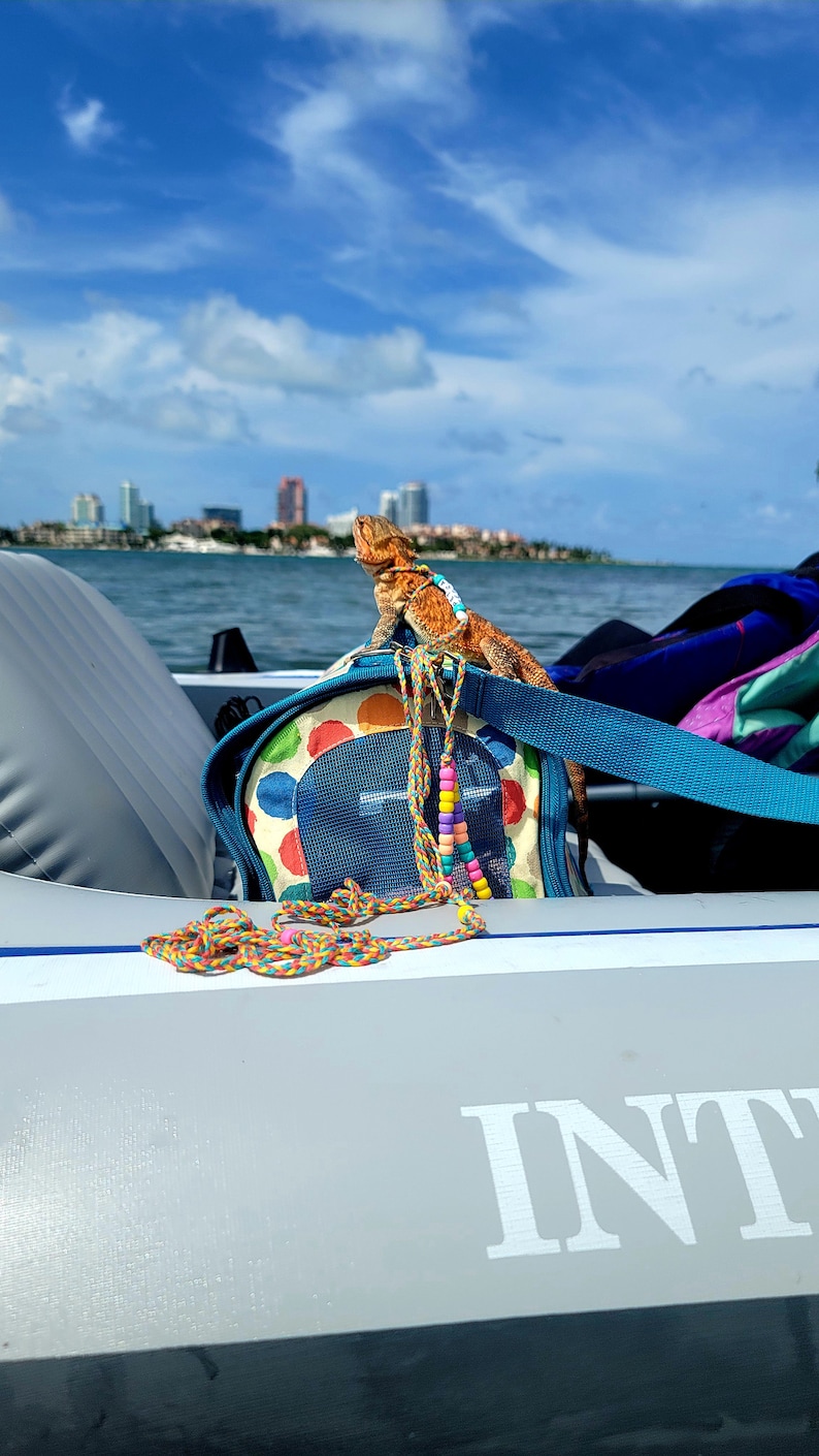 Bearded Dragons Harness/ Leash - Etsy