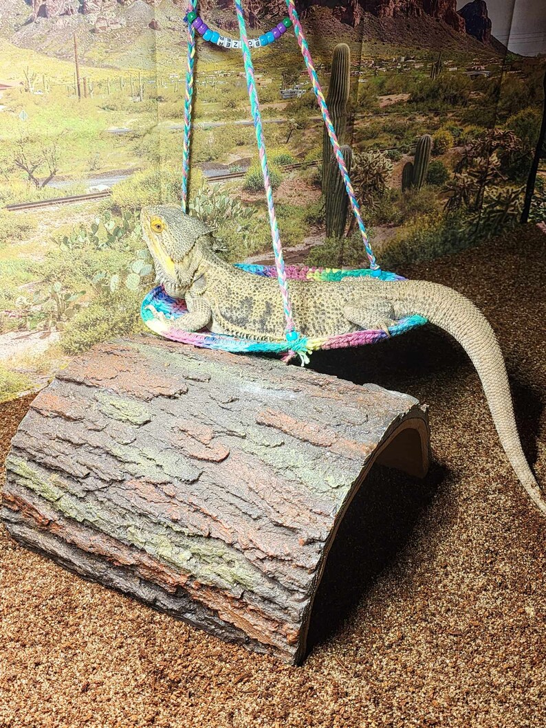 Bearded Dragon Swing - Etsy