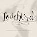 Lovebird Font - Handwritten Signature Tails Script Font, Cursive Font ...
