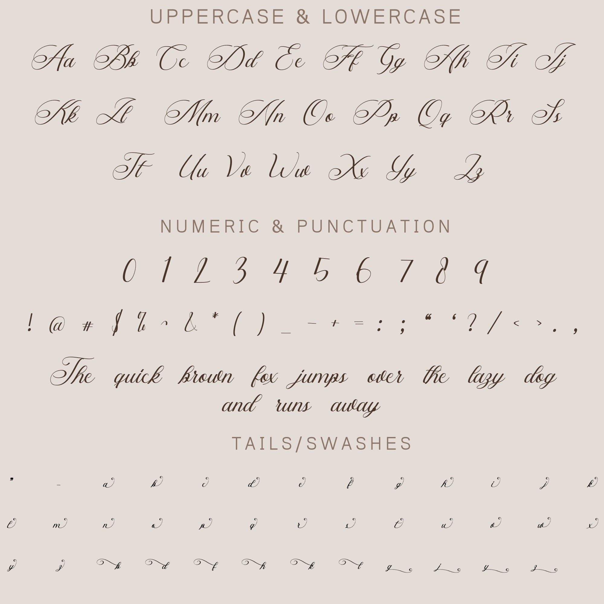 Marsyanda Font - Handwritten Calligraphy Tails Script Font, Cursive ...