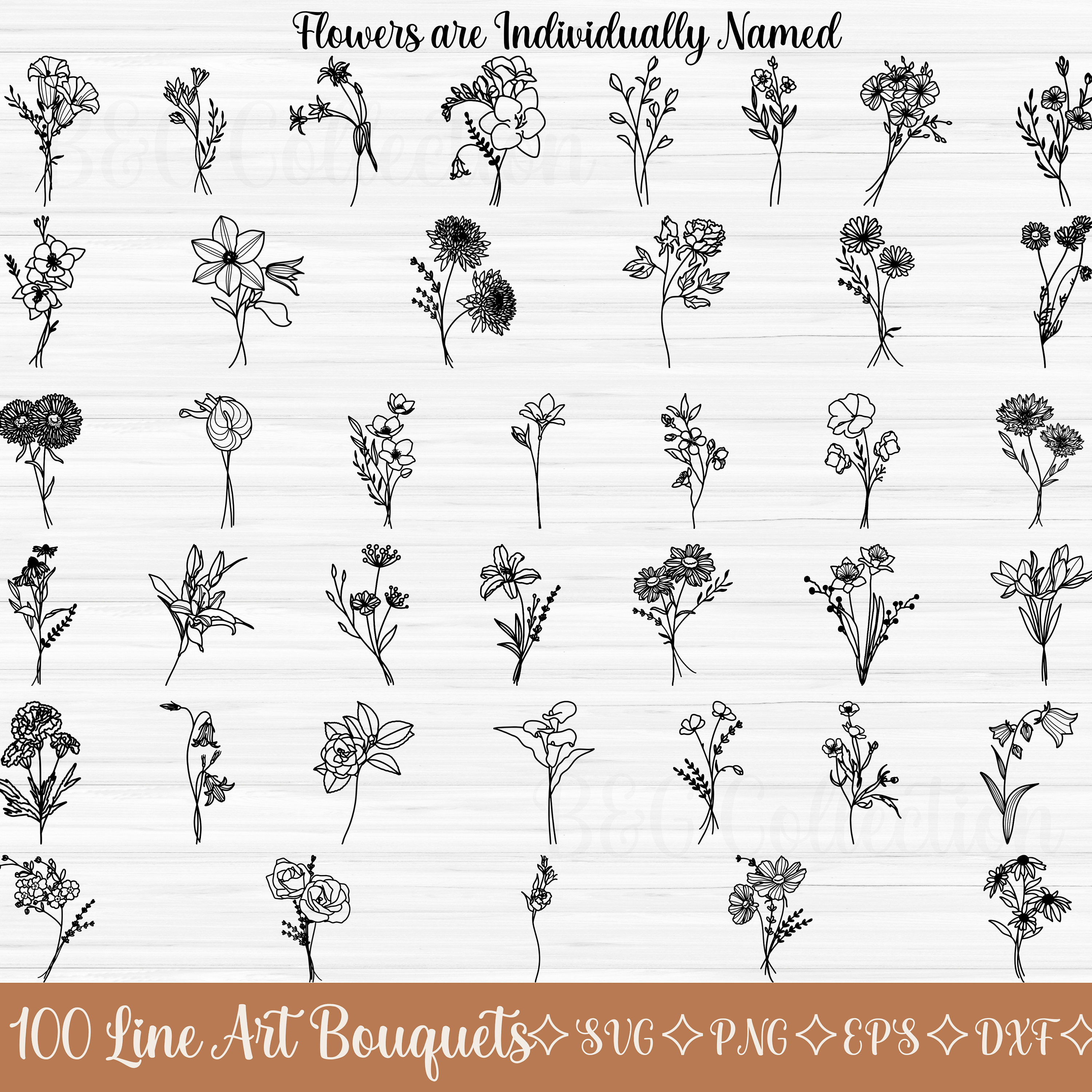 Birth Month Flowers Svg Png, Birthday Flower Svg, Wildflowers Flower ...