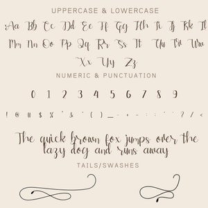 Lovebird Font - Handwritten Signature Tails Script Font, Cursive Font ...